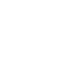 Young Heart Valve – Next Generation Heart Valve Technology