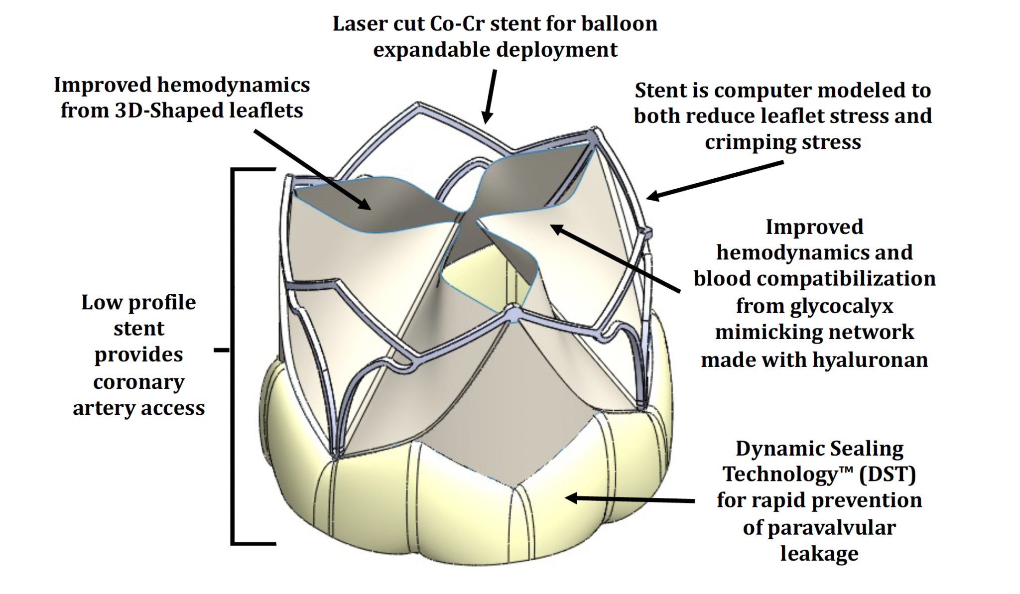 Technology – Young Heart Valve